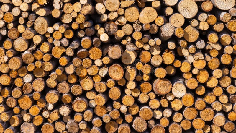 Logs As a Background. Texture of Natural Wood Stock Photo - Image of ...