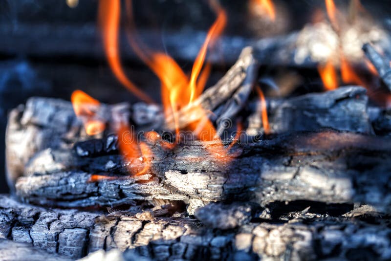 Logs Burn with a Bright Flame Stock Photo - Image of energy, bonfire ...