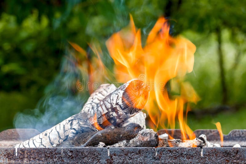 Logs Burn with a Bright Flame Stock Photo - Image of blaze, bonfire ...