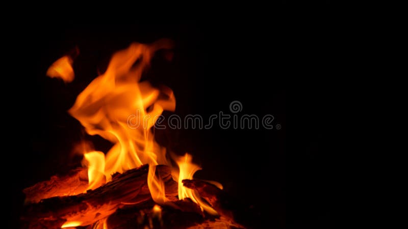 Logs Burning Fire on Black Background Stock Image - Image of background ...