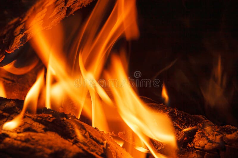 Logs Burning in an Outdoor Campfire Stock Photo - Image of glow, danger ...