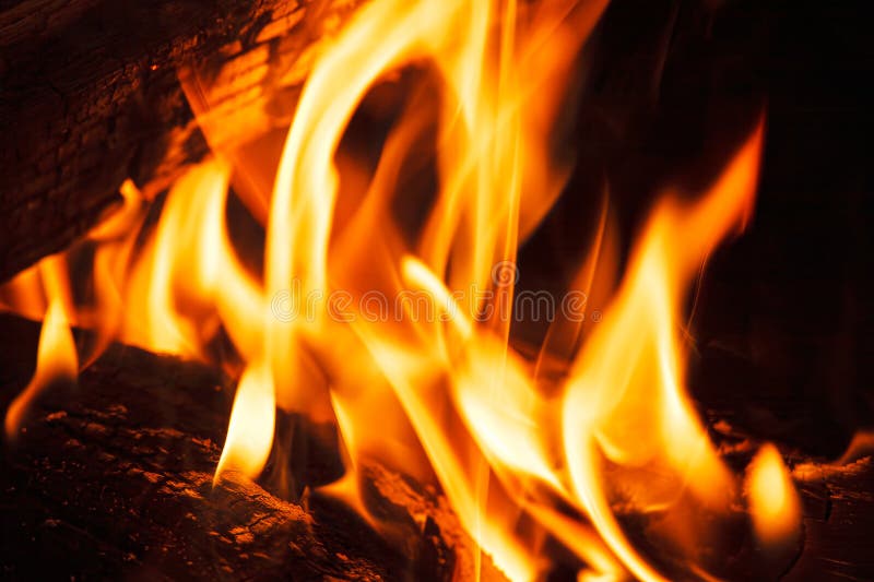 Logs Burning in an Outdoor Campfire Stock Photo - Image of campfire ...