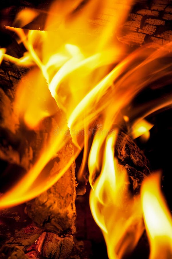 Logs Burning in an Outdoor Campfire Stock Image - Image of element ...