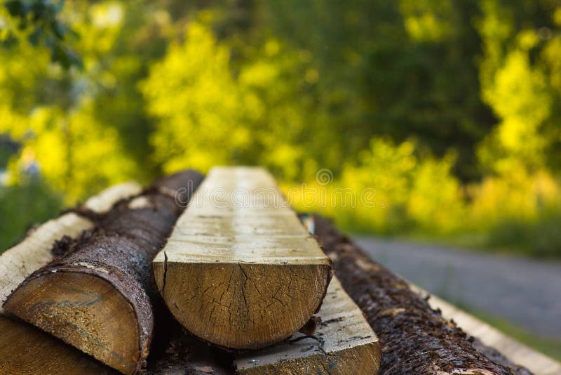 Logs Cut in Half on a Beautiful Blurred Background Stock Photo - Image ...
