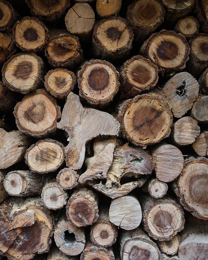 The Logs are Cut into Logs, Stacked in Large Numbers. Stock Photo ...