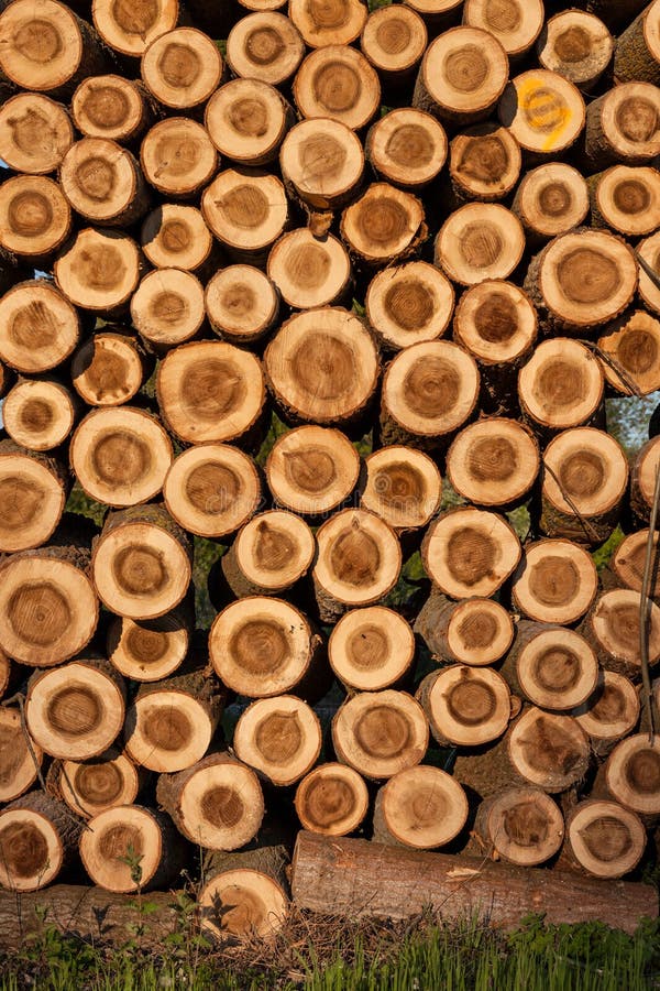 Logs each other stock image. Image of brown, lumberjack - 91397995