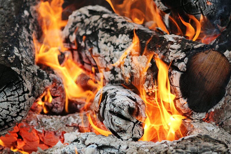 The logs of fire wood stock photo. Image of hardwood - 43680628