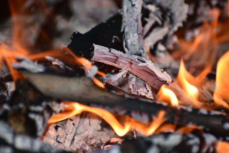 Logs on fire. stock image. Image of flames, flame, logs - 180595243