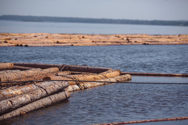 235 Logs Floating River Stock Photos - Free & Royalty-Free Stock Photos ...