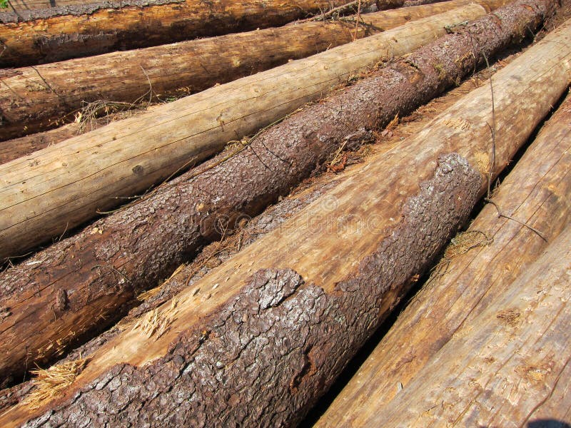 Interesting Spilite Stock Photos - Free & Royalty-Free Stock Photos ...