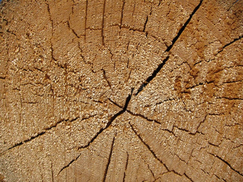 Interesting Spilite Stock Photos - Free & Royalty-Free Stock Photos ...