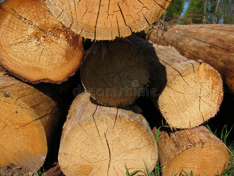 Interesting Spilite Stock Photos - Free & Royalty-Free Stock Photos ...