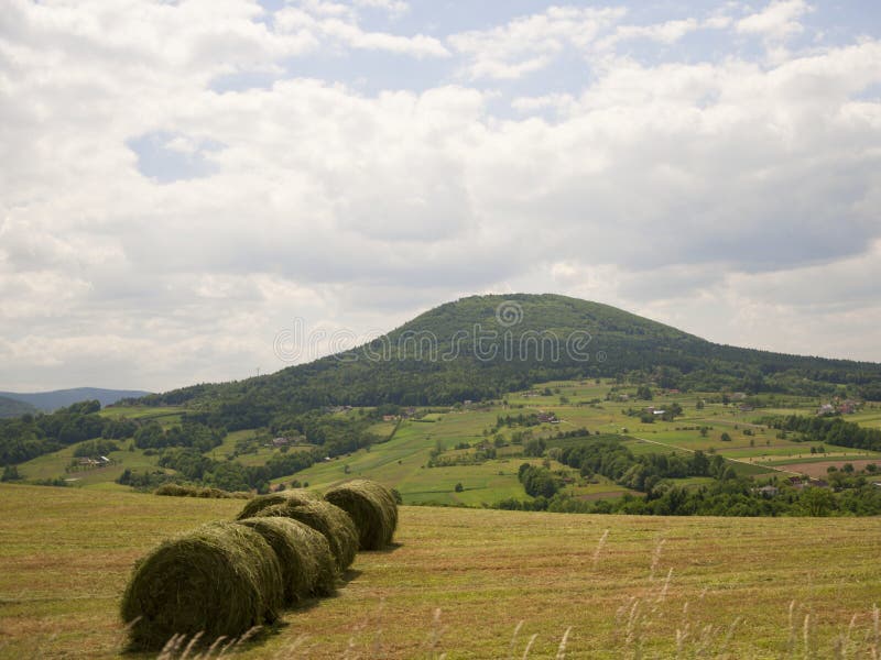 Logs of hay stock photo. Image of sprin, green, haystack - 25098332