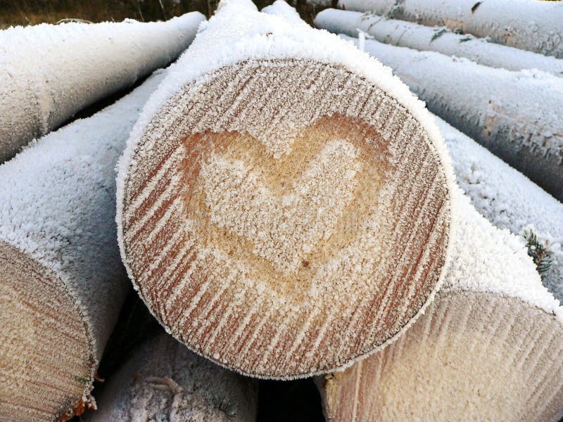 Logs with Hoarfrost and Heart Symbol Stock Image - Image of winter ...