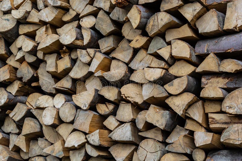 Logs Lie on the Ground after Logging. Firewood is Prepared for Heating ...