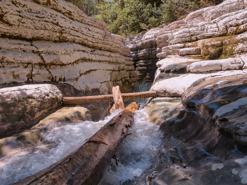 The Logs Lie in a Narrow River Flowing into the Gorge between the ...