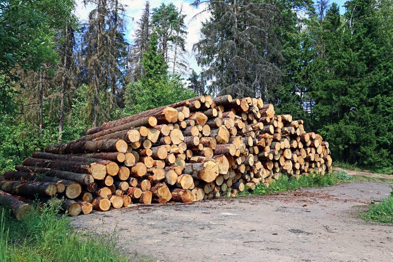 Logs in the logging stock image. Image of branches, industry - 46100357