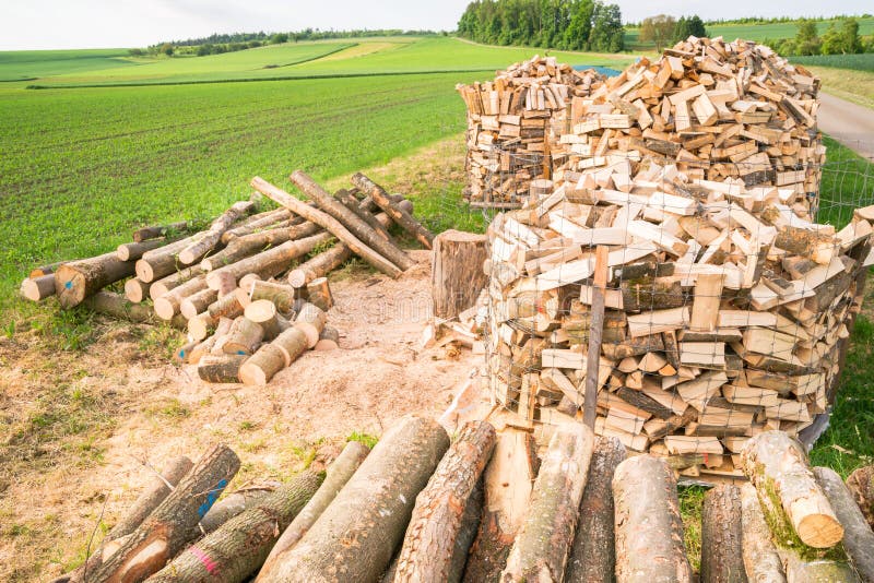 Logs on a lumber yard stock image. Image of lumber, grid - 101382533