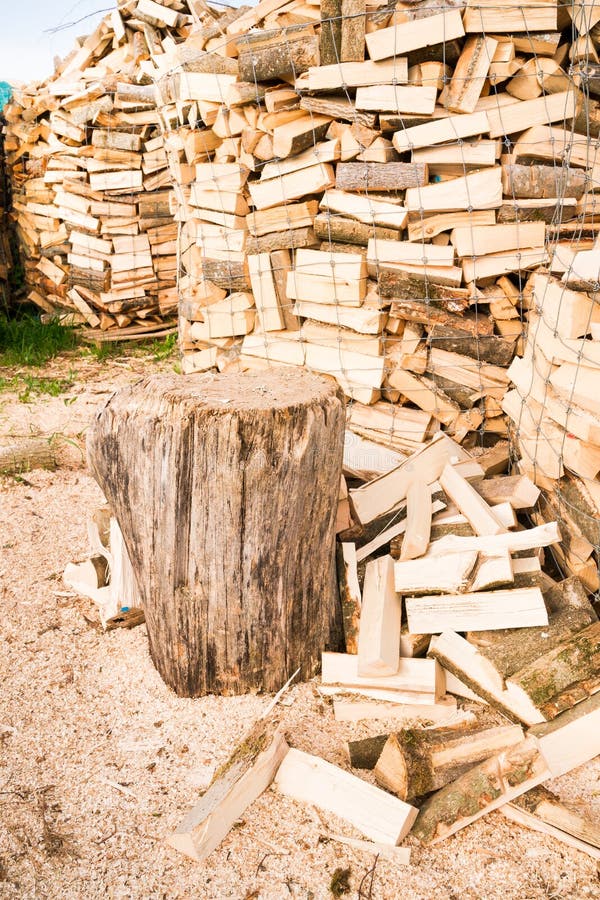 Logs on a lumber yard stock image. Image of sawed, logs - 101439885