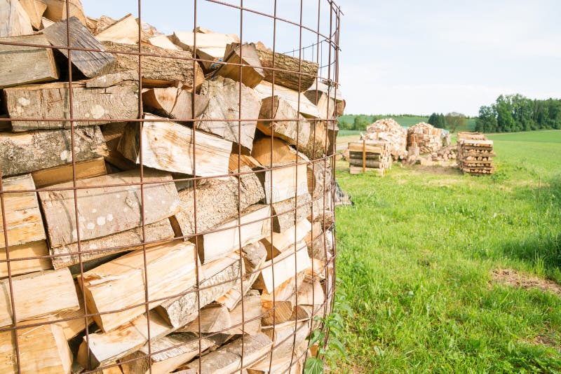 Logs on a lumber yard stock photo. Image of logs, bark - 101383158