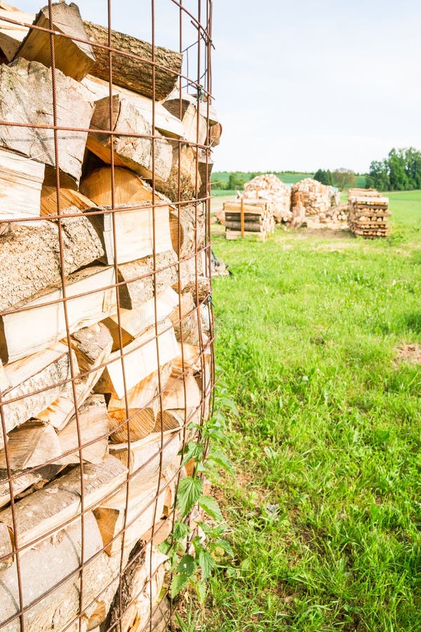 Logs on a lumber yard stock image. Image of firewood - 101534105