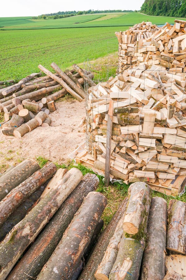 Logs on a lumber yard stock photo. Image of logs, bark - 101383158