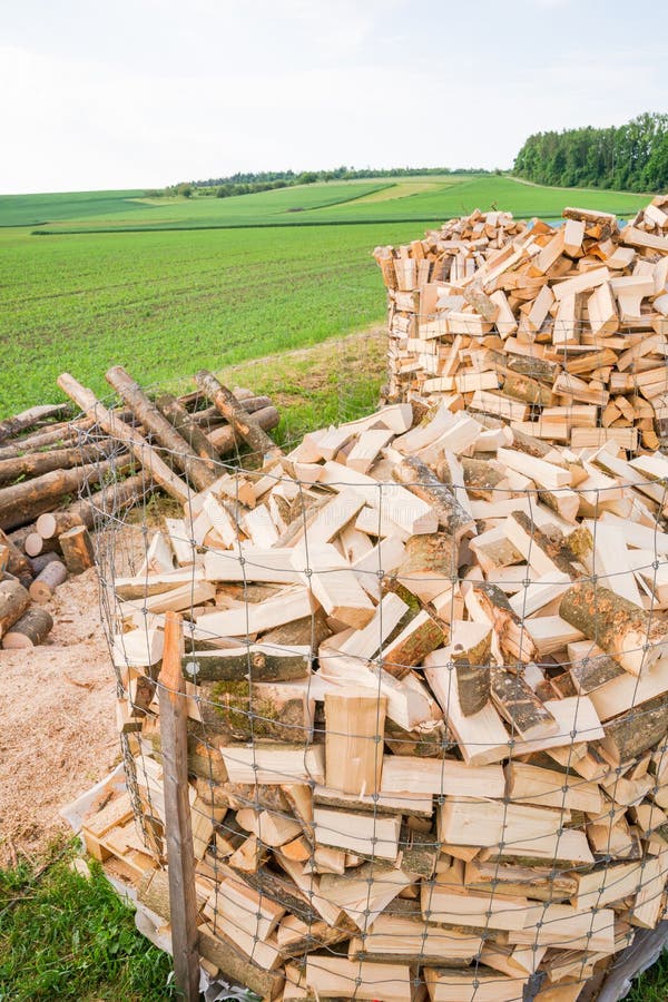 Logs on a lumber yard stock photo. Image of sheet, outdoors - 101378770