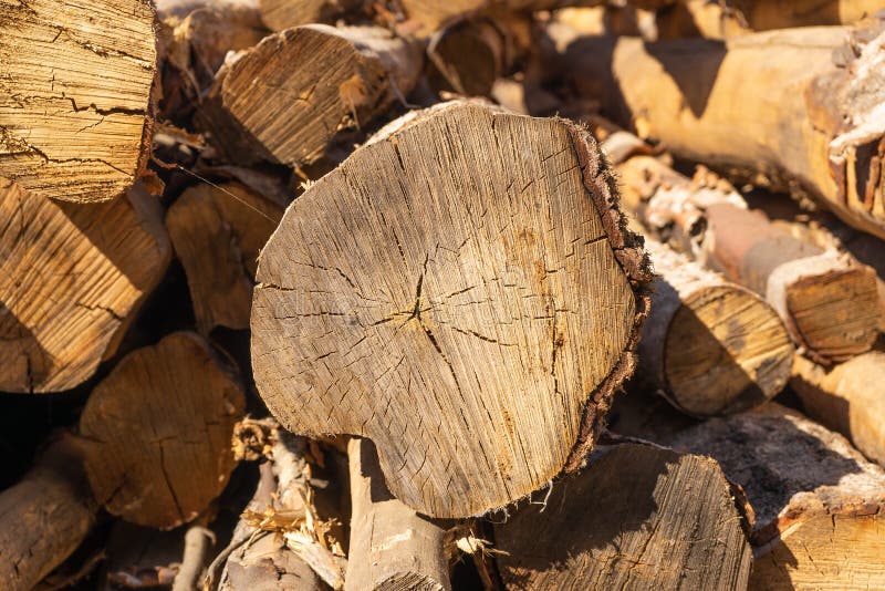 Logs. Natural Organic Texture with Cracks and a Rough Surface Stock ...