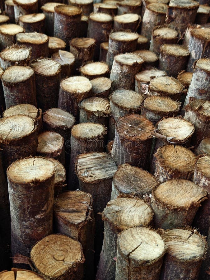 Logs are Neatly Piled on Top of One Another, Forming a Stack Stock ...
