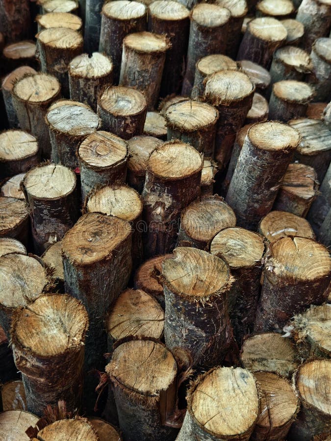 Logs are Neatly Piled on Top of One Another, Forming a Stack Stock ...