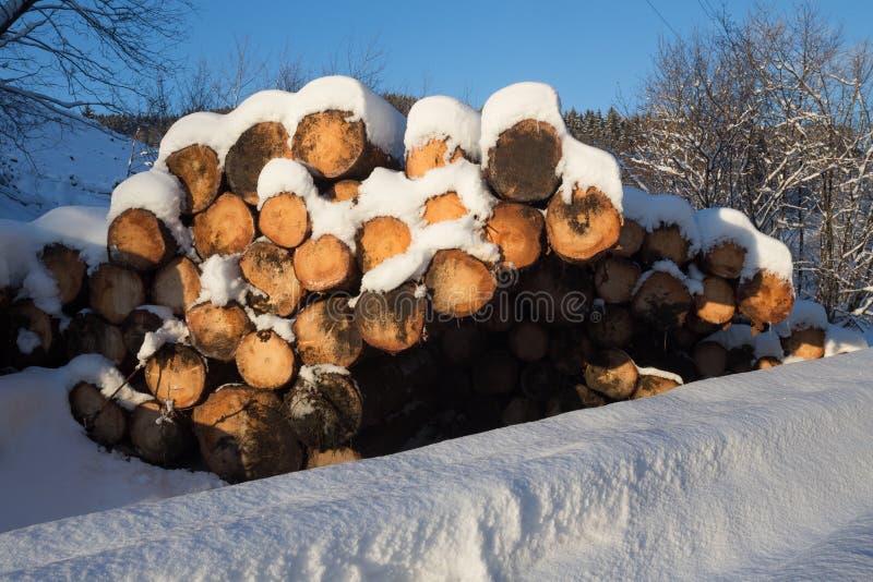 Logs Outside in a Winter Forest Stock Photo - Image of timber, trunk ...