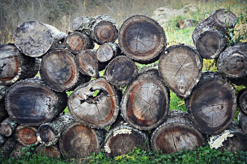 Logs stock photo. Image of logs, round, stacked, wood - 65636934