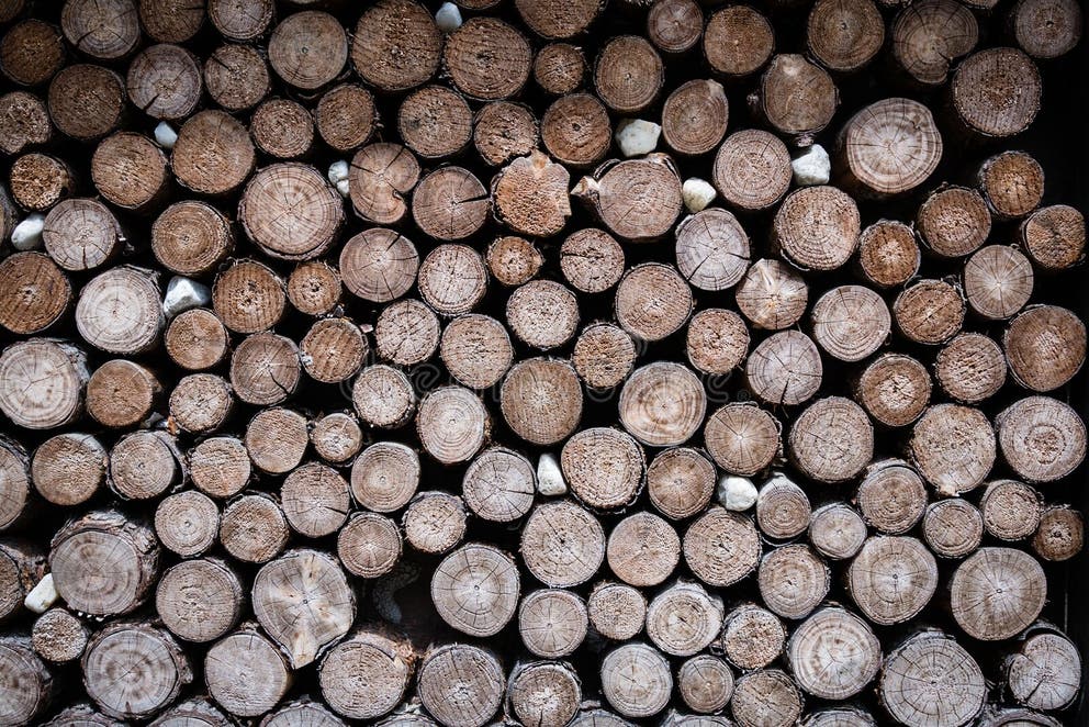 Logs stock photo. Image of wood, stumps, natural, material - 79207656