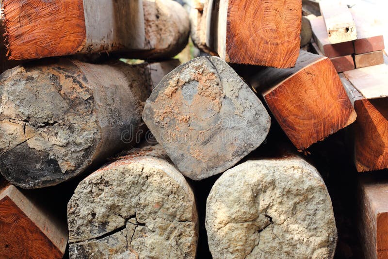 Logs Prepare for House Construction Stock Image - Image of pine ...