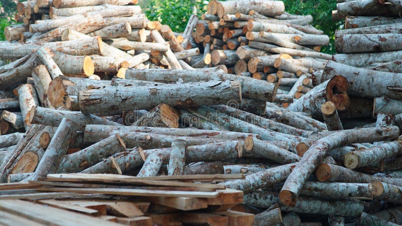 Logs Random Piles Stock Photos - Free & Royalty-Free Stock Photos from ...