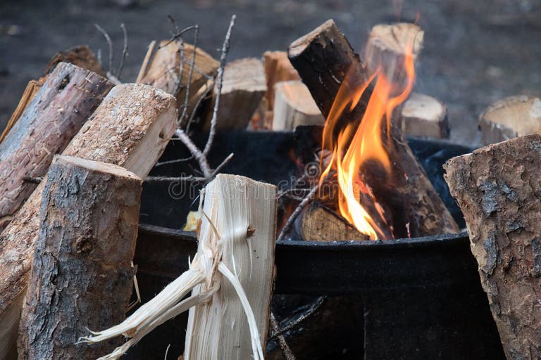 Logs ready for Camp fire stock photo. Image of logs - 391839278
