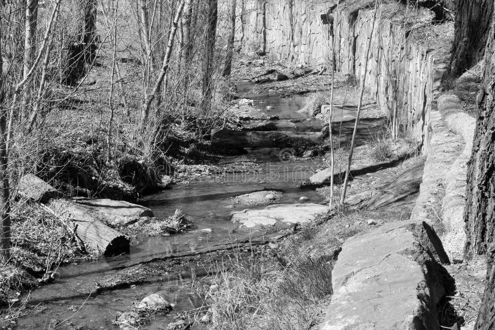 Logs and Rocks in River stock photo. Image of rocks, plants - 89226750