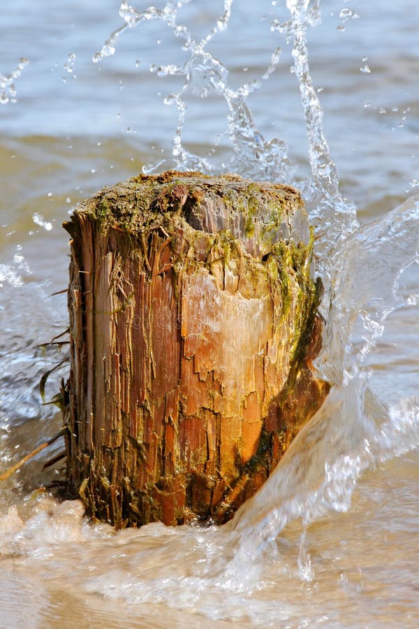 Logs and sea. stock photo. Image of pier, waves, evening - 21050678