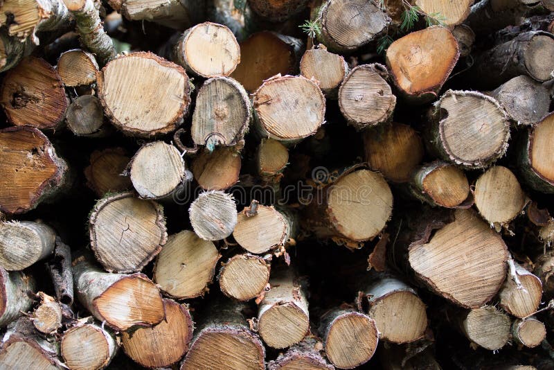 Logs stock image. Image of sweden, logs, industry, cracks - 57453997