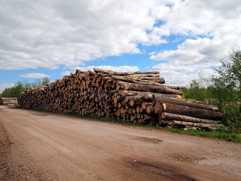 Logs Stack stock image. Image of forest, accurately, piece - 63246305