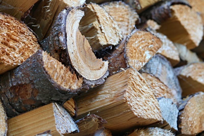 Logs stock photo. Image of deforest, bark, pine, pattern - 100986032