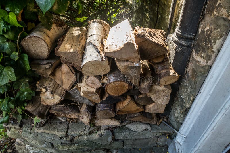 Logs stacked and piled stock photo. Image of birch, bark - 92957218