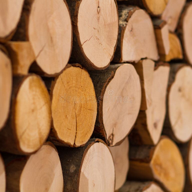 Logs stock photo. Image of resin, felling, lumber, timber - 41234516