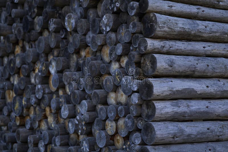 Logs Stacked for Wall Construction Stock Image - Image of hardwood ...