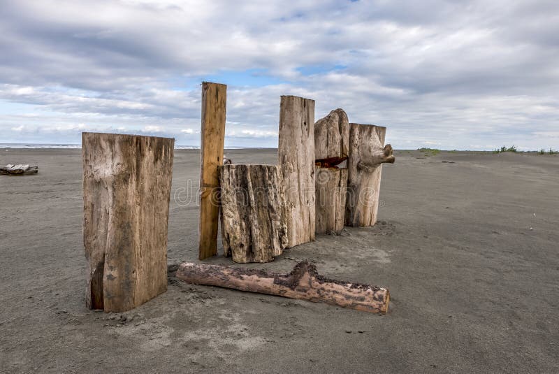 Logs stood up on beach. stock photo. Image of water, shoreline - 73661594