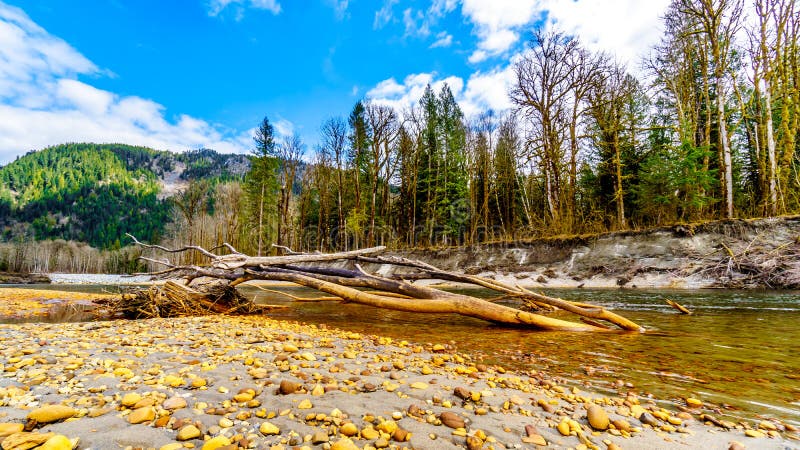 Logs Stuck in the Sand and Iron Oxide Stained Rocks Lining the Shore of ...