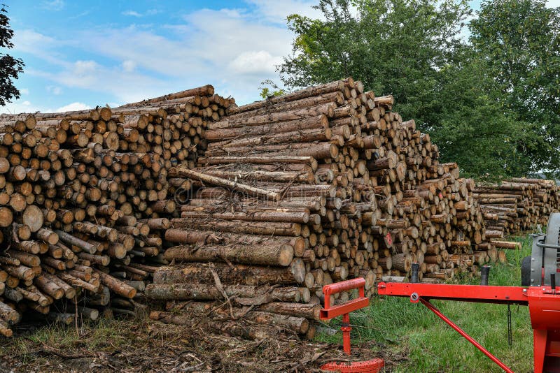 Logs in a Warehouse at a Sawmill for Chopping and Sawing for Firewood ...