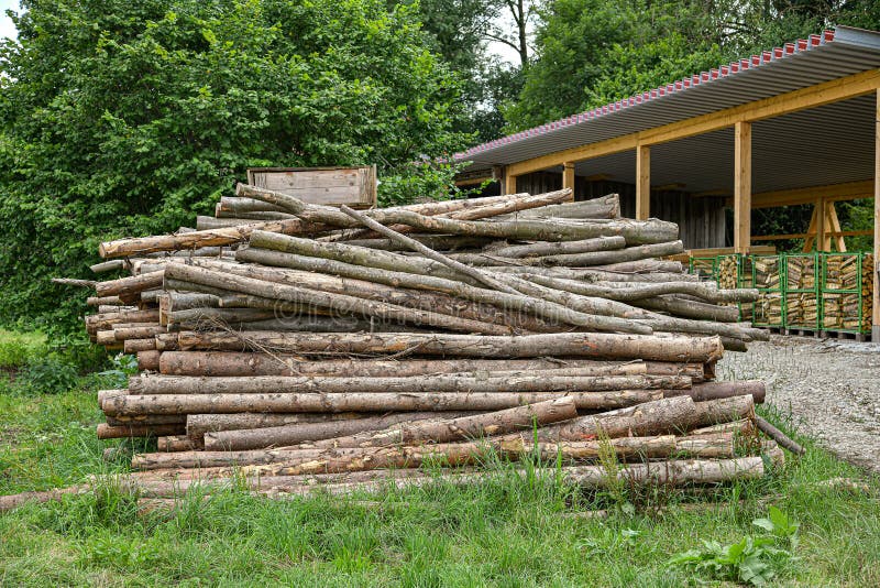 Logs in a Warehouse at a Sawmill for Chopping and Sawing for Firewood ...