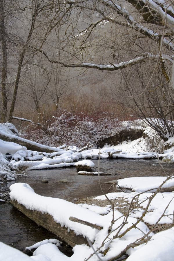 Logs in Winter Stream stock photo. Image of stream, forest - 535418