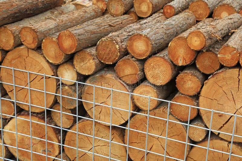 Logs in a wire net stock photo. Image of cross, wood - 369279040